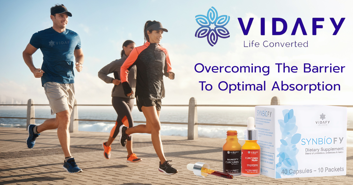 Account – Vidafy.com