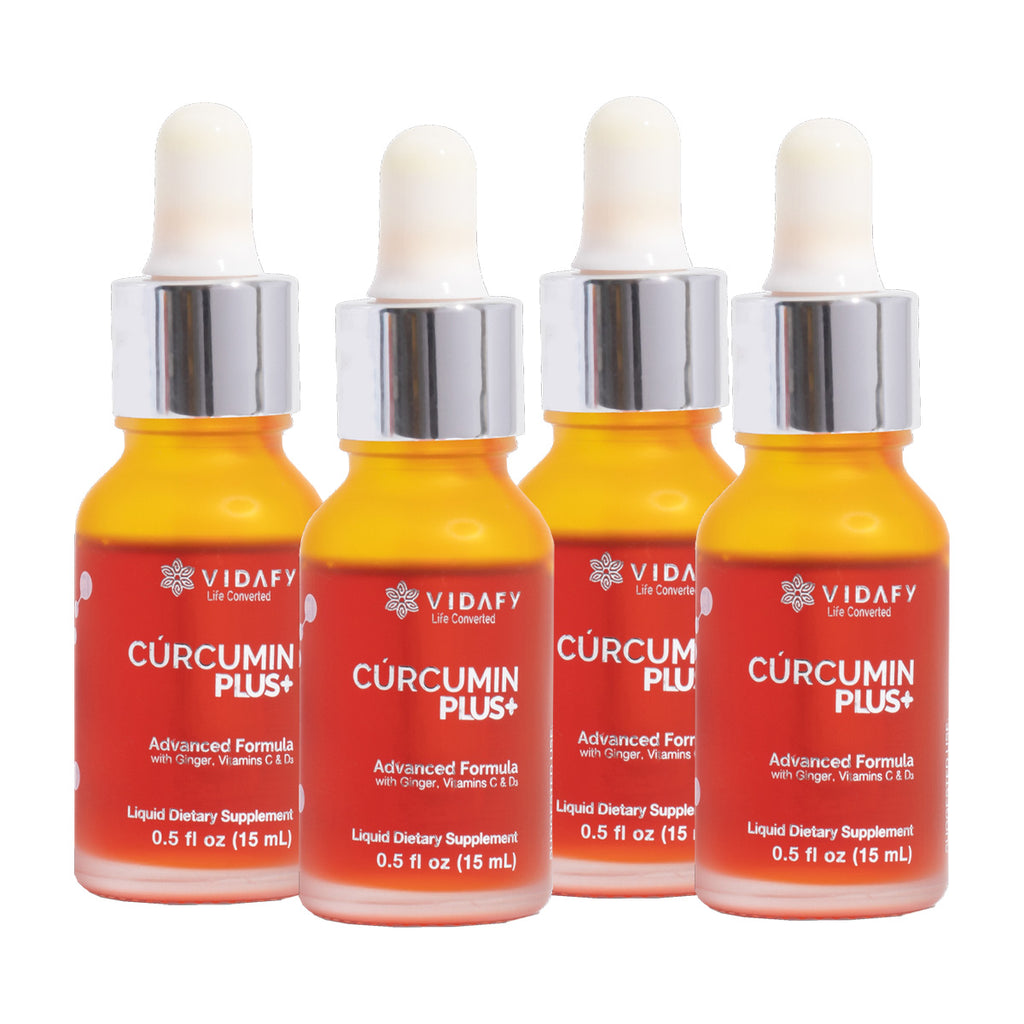 CURCUMIN PLUS 4 Pack – Vidafy.com